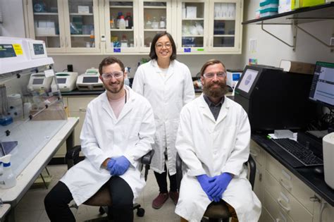 Carbon Upgrading Geomicrobiology