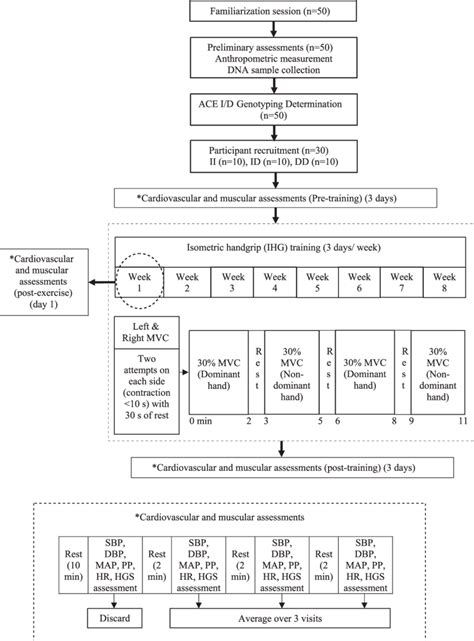 Flow Chart Of Study Design Download Scientific Diagram