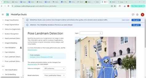 Vignesh Kasani On Linkedin Intern Aimers Poselandmarkdetection