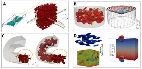 Boundary Conditions In Hemocell A Periodic Boundary Condition B Download Scientific Diagram