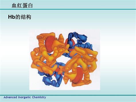 高等无机化学 血红蛋白和肌红蛋白 Word文档在线阅读与下载 无忧文档