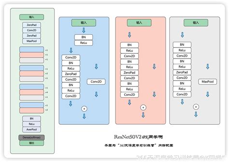 经典cnn算法解析实战 第j2周：resnet50v2算法实战与解析 resnet50v2 onnx csdn博客
