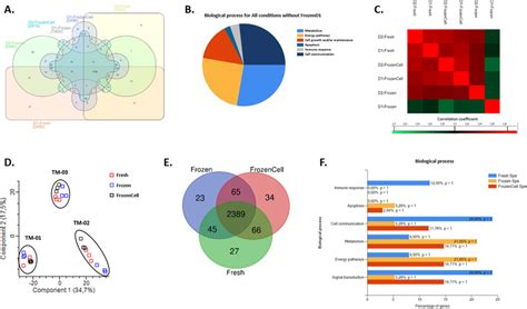 Proteomics Analysis Of Cmt Tumoroids A Venn Diagram Representing Download Scientific Diagram