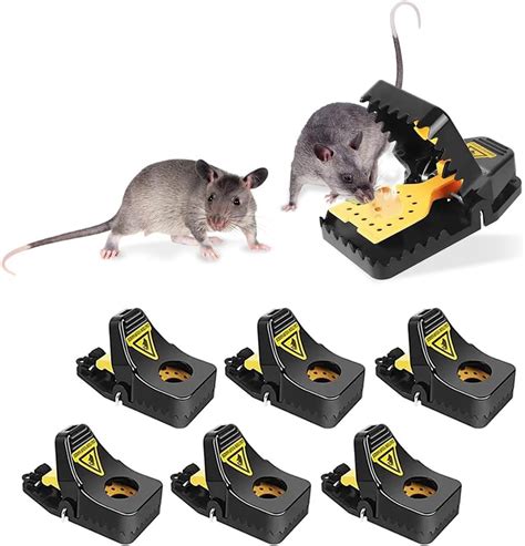 Novali Pack Of 6 Mouse Trap Mouse Traps For Indoors And Outdoor