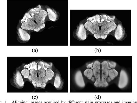 Figure 1 From A Surface Constrained Volumetric Alignment Method For Image Atlasing Semantic
