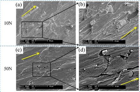 Scanning Electron Microscopy Sem Micrographs Of The Worn Surfaces For