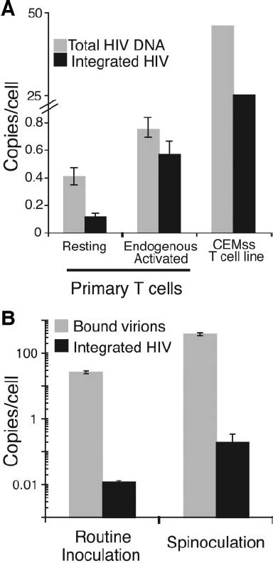 Reverse Transcription And Integration Have Delayed Kinetics In Resting Download Scientific
