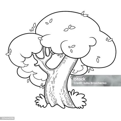 ภาพวาดเชิงเส้นต้นไม้ผลัดใบเก่าขนาดใหญ่สําหรับระบายสีที่แยกได้บนพื้นหลังสีขาว ภาพประกอบสต็อก