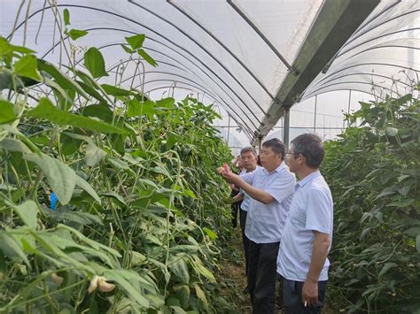 盐城市农业农村局 工作动态 我市举办省级绿色防控示范区建设方案评审活动