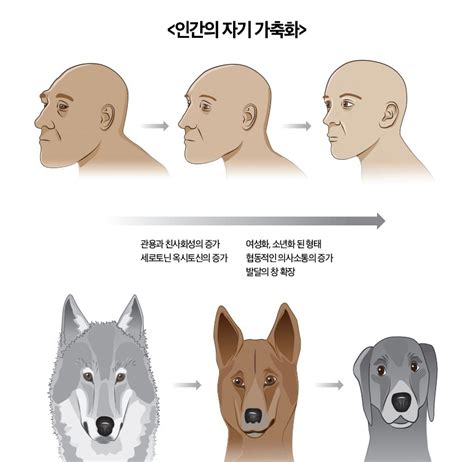 인류학지식나눔