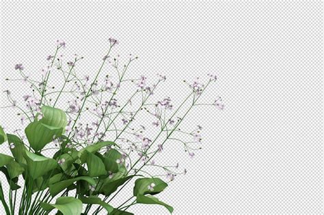 Premium Psd Isolated Grass In 3d Rendering