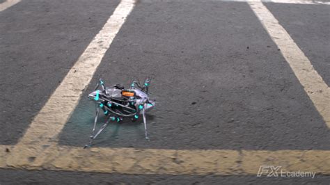 Chrome Bug FXEcademy