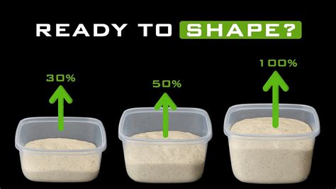 Sourdough Bulk Fermentation Guide Times And Temperatures Explained Youtube