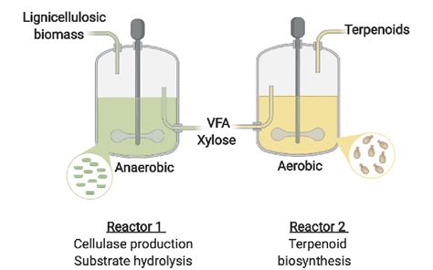 Figure 5 From Sustainable Production Of Microbial Isoprenoid Derived