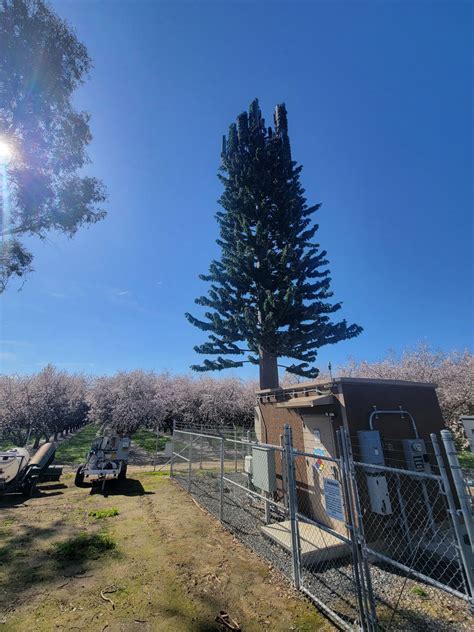 armando garcia on linkedin bakersfield work incoming 🚀