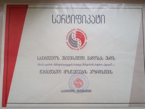 შინდისის საჯარო სკოლამ მადლობის სიგელი მიიღო ეტალონი