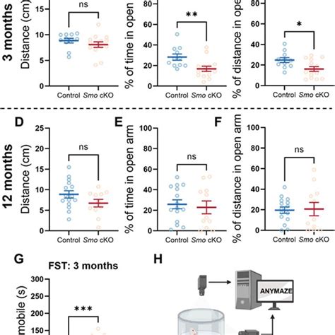 Deficits In Adult Neurogenesis In Smo Cko Mice Increase Anxiety Levels Download Scientific