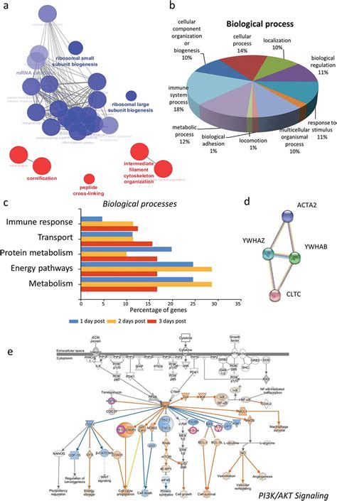 Proteomics Bioinformatics Analysis Service Mtoz Biolabs