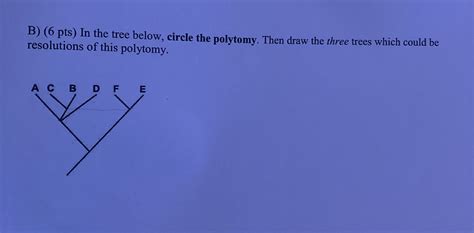 Solved B 6 ﻿pts ﻿in The Tree Below Circle The Polytomy
