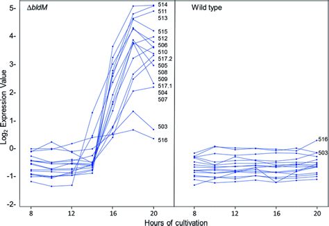 Microarray Expression Profiles Of The Fifteen Genes Sven0503sven0517