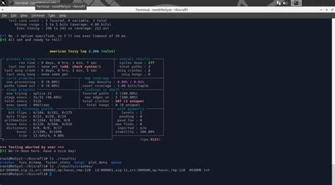 Software Exploit Development Fuzzing With Afl Deepcode