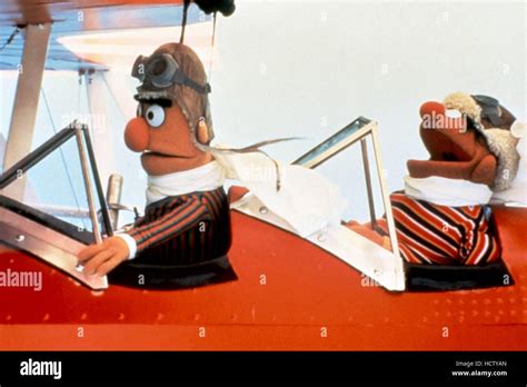 Follow That Bird Aka Sesame Street Presents Follow That Bird Bert