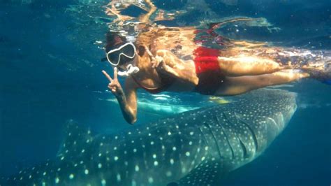 세부 고래상어 투어 예약 오슬롭 패키지 여행 투말록폭포 필리핀 세부 모알보알 호핑투어 시간 네이버 블로그