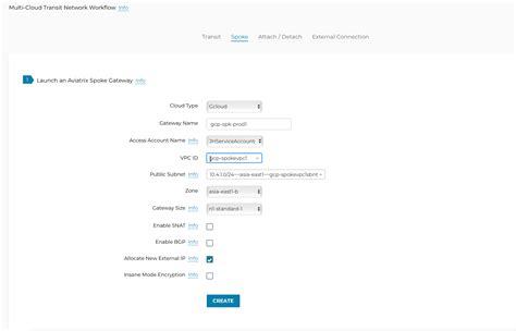 Transit Firenet Workflow For Gcp Documentation