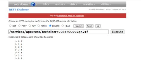 Rest Resource Apex Class In Salesforce Techdicer