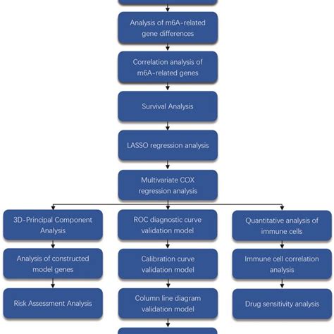 Workflow Diagram From The Diagram We Can See The Flow Of Our Work