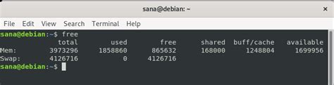 How To Check The Installed Ram On Debian 10 Vitux