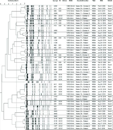 The Genetic Relatedness Between S Aureus Isolates Colonizing Download Scientific Diagram