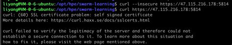 Cant Connect To Apls When Running Sn Nodeerror Code 6002 · Issue