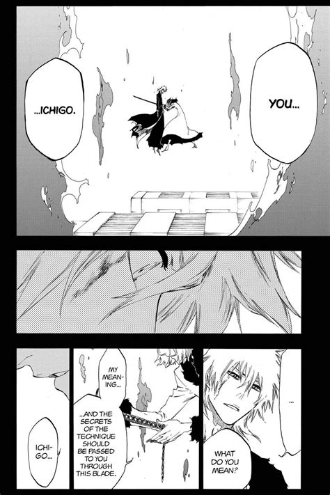 I Dont Think Ichigo Agreed To What Ginjo Was Saying After What He