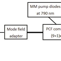 Scheme Of The PCF Amplification Experiment Download Scientific Diagram
