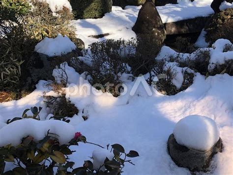 庭に積もった雪 No 28980210｜写真素材なら「写真ac」無料（フリー）ダウンロードok