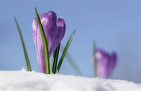 ӨНӨӨДӨР “Ханш нээх” өдөр тохиож байна Humanz