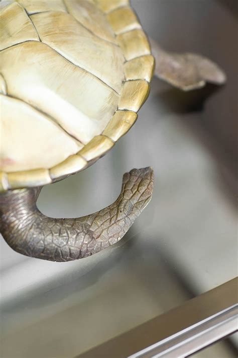 Brass Turtle Storage Box For Sale At Pamono