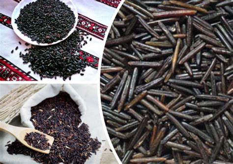 Черный рис - полезные свойства и как его готовить, чтобы он получился ...