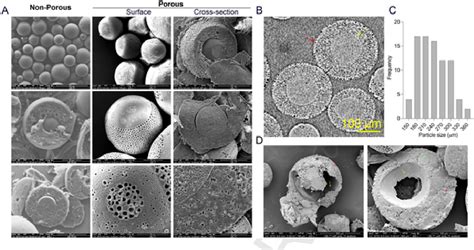 Figure 2 From Development Of A Porous Layer By Layer Microsphere With