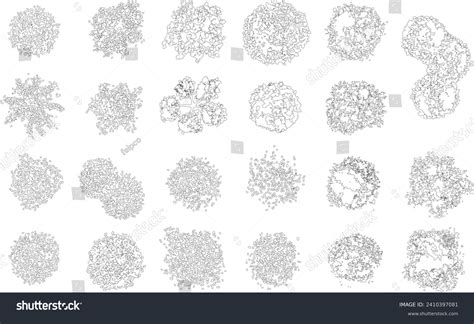 Vector Tree Top View Isolated On Stock Vector Royalty Free 2410397081 Shutterstock