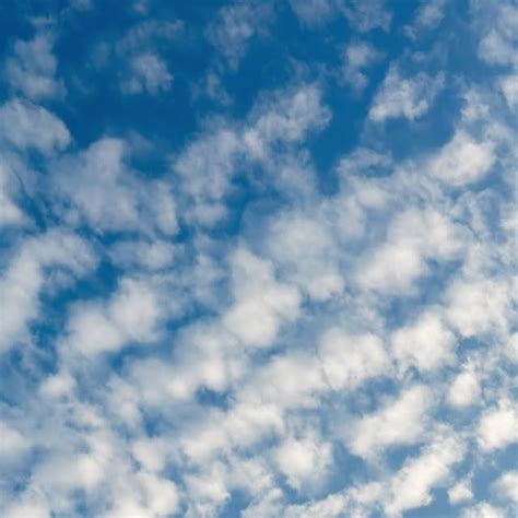 Wu Pipi Pipi Wu310 Threads Say More