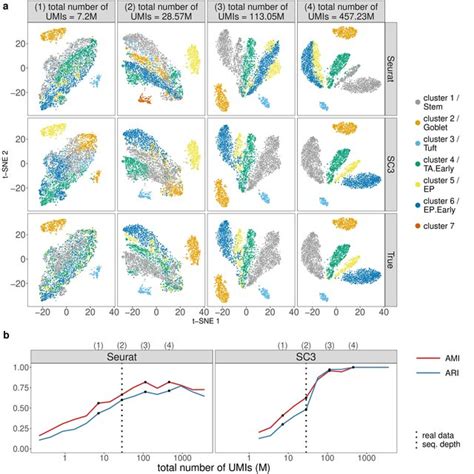 The Description Of Bulk Rna Seq Datasets Download Scientific Diagram