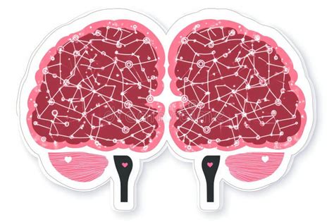 Artistic Illustration Of Two Interconnected Pink Brains Neural Network Patterns Symbolizing