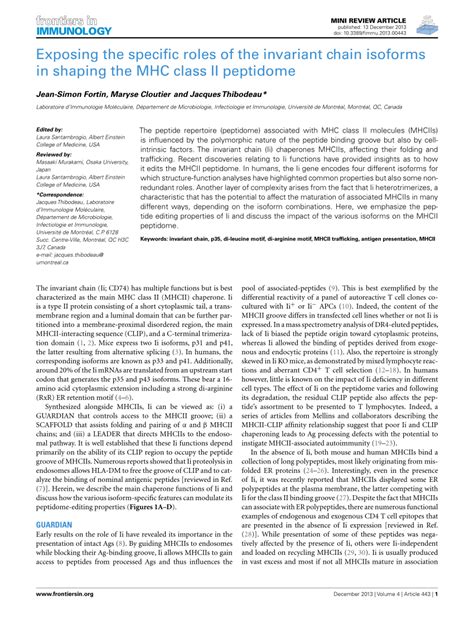 Pdf Exposing The Specific Roles Of The Invariant Chain Isoforms In Shaping The Mhc Class Ii