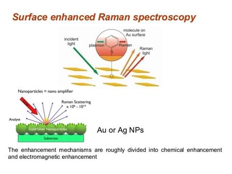 Surface Enhanced Raman Spectroscopy Alchetron The Free Social Encyclopedia