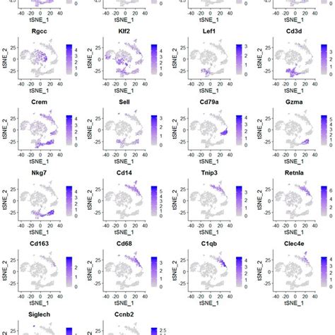 Dimensionality Reduction And Heatmap Analyses Of Single Cell Rna