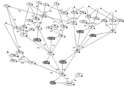 Example Of A Hierarchical Bayesian Network Based Categorization Model