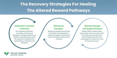 Reward Pathway Of The Brain Definition Function And Role In Addiction