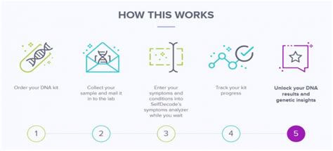 Selfdecode 2025 Review Can You Really Hack Your Dna